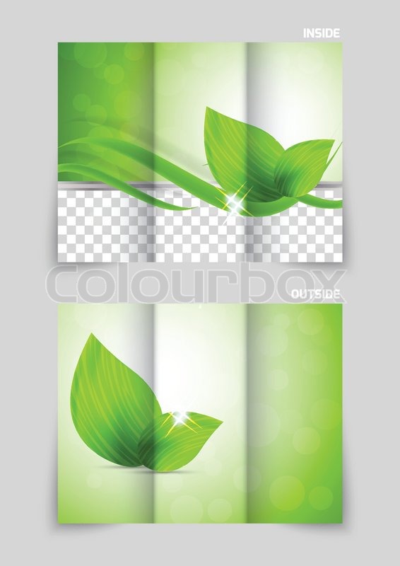 Green leaf organic design of tri-fold ... | Stock vector | Colourbox