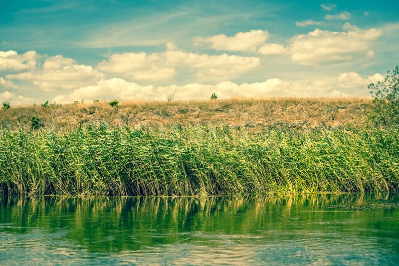 Vand med spejlbillede af naturen, ... | Stock foto | Colourbox
