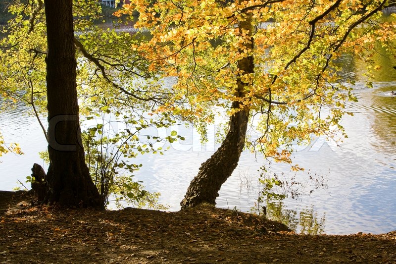 Autumn in Denmark | Stock image | Colourbox