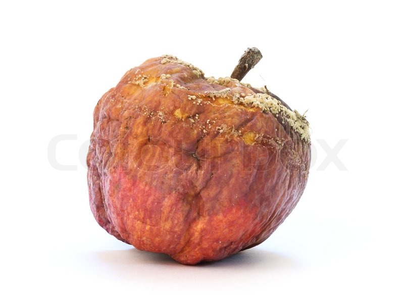 Old rotten apple with large DOF on ... | Stock Photo | Colourbox