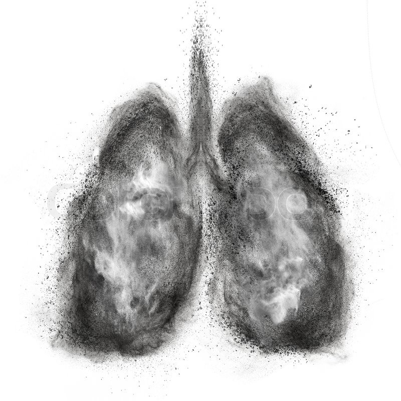 Lungs made of black powder explosion ... | Stock image | Colourbox