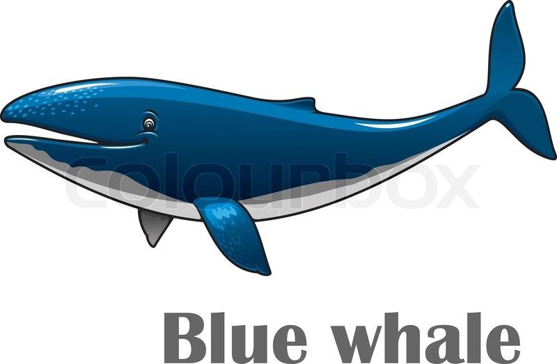 Cartoon smiling blue whale isolated on ... | Stock vector | Colourbox