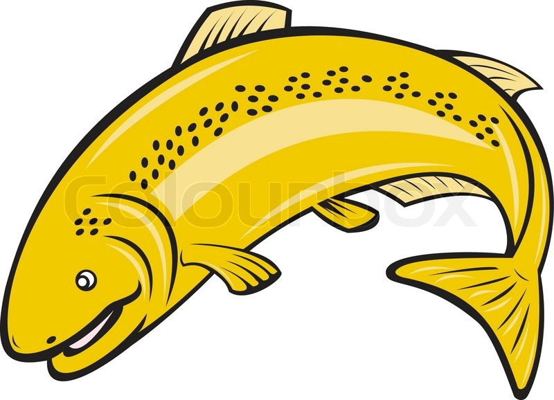 Forelle Regenbogen Fische springen ... | Stock-Vektor | Colourbox