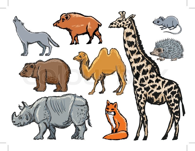 Set of illustrations of mammals | Stock vector | Colourbox