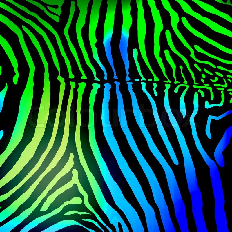 Vector. Zebra background. vector ... | Stock vector | Colourbox