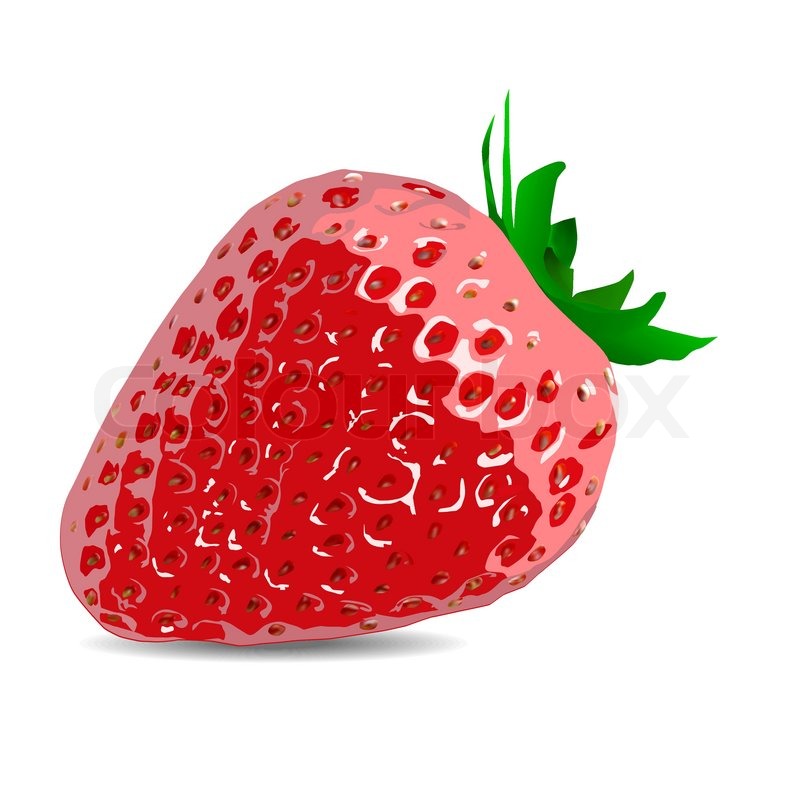 Schöne Erdbeeren Vektor Illustration Stock Vektor Colourbox