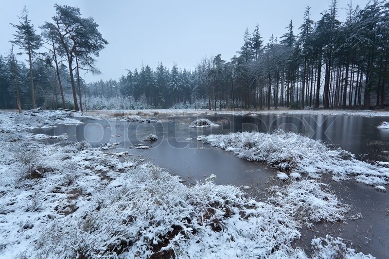 Freezing Lake