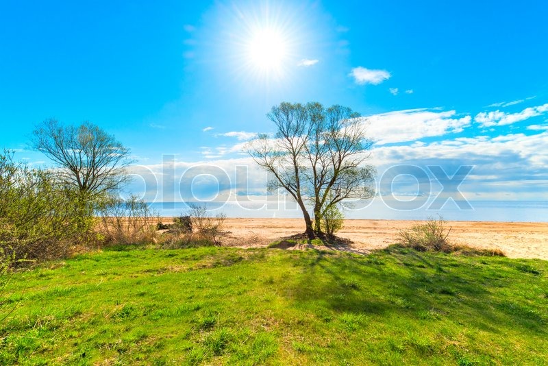Beautiful scenery warm sunny day | Stock image | Colourbox