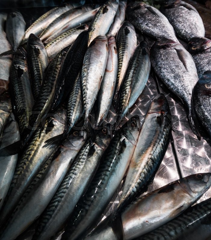 Fresh mackerel fish (Scomber ... | Stock image | Colourbox