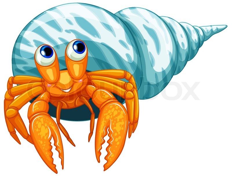 Illustration Of A Closeup Hermit Crab Stock Vector Colourbox