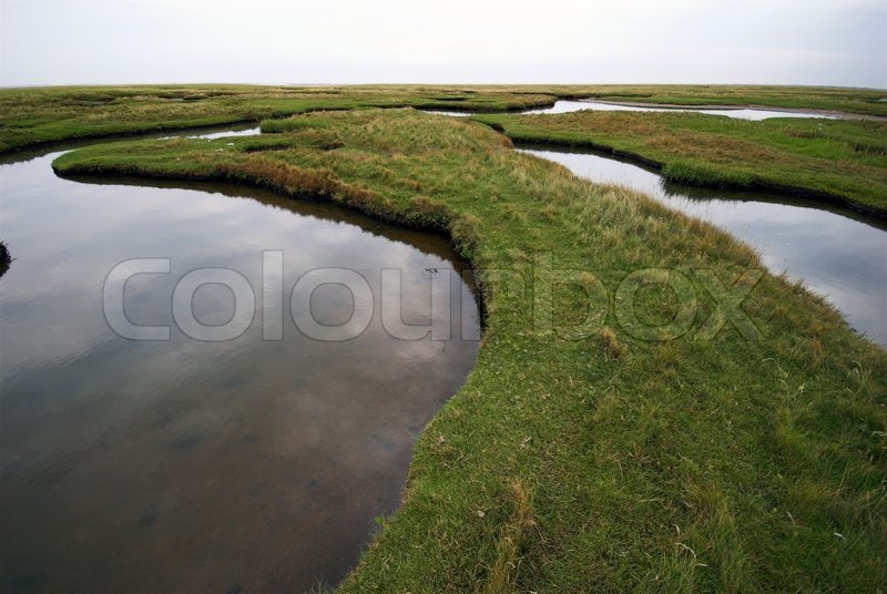 Water Land.Wild Danish Nature with ... | Stock image | Colourbox