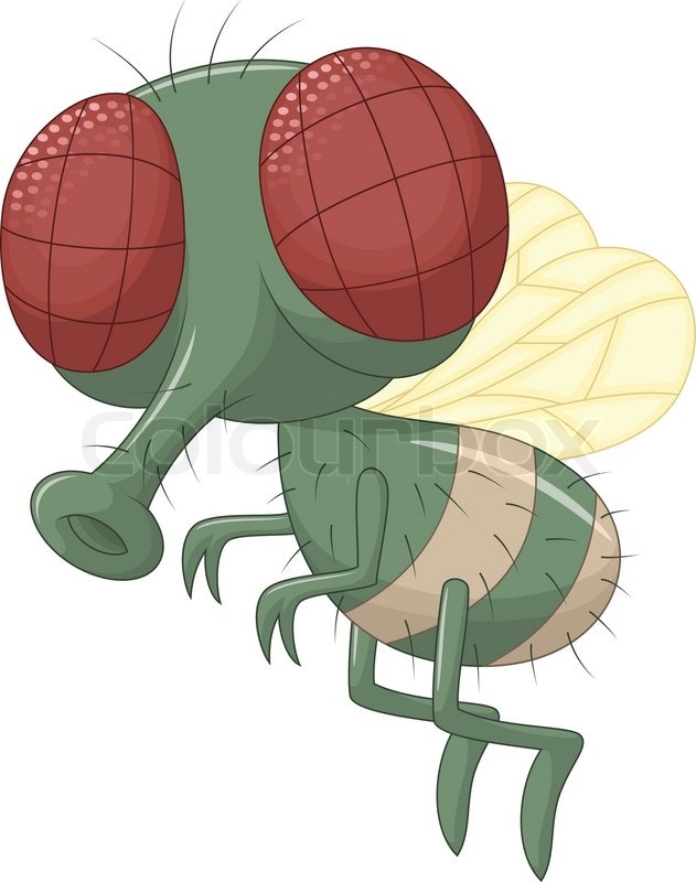 Vector illustration of Fly cartoon | Stock vector | Colourbox
