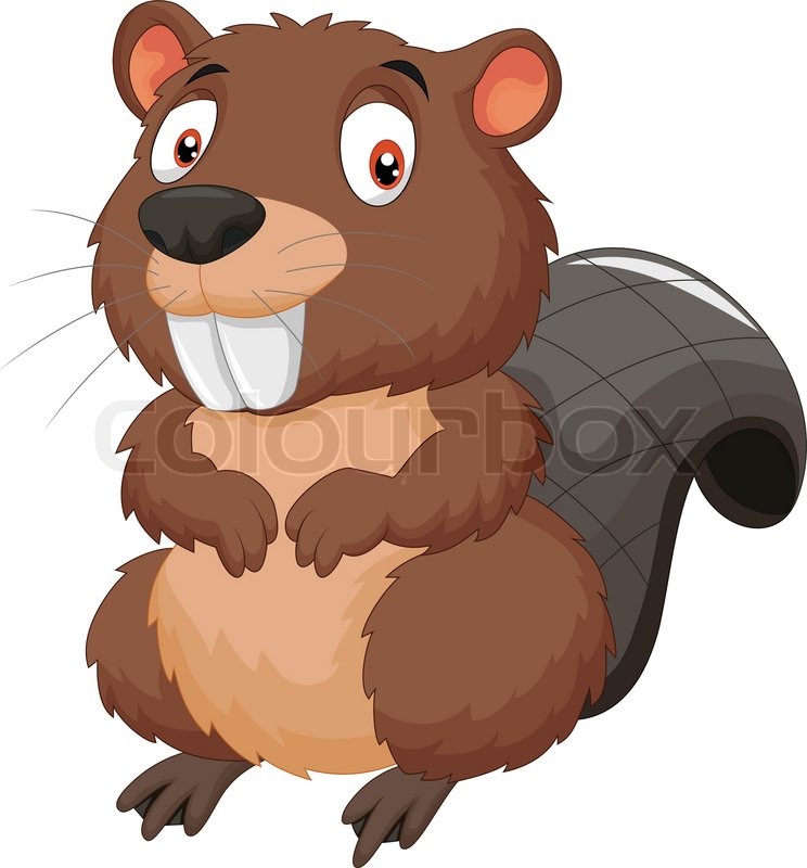 Vector illustration of Cartoon beaver | Stock vector | Colourbox