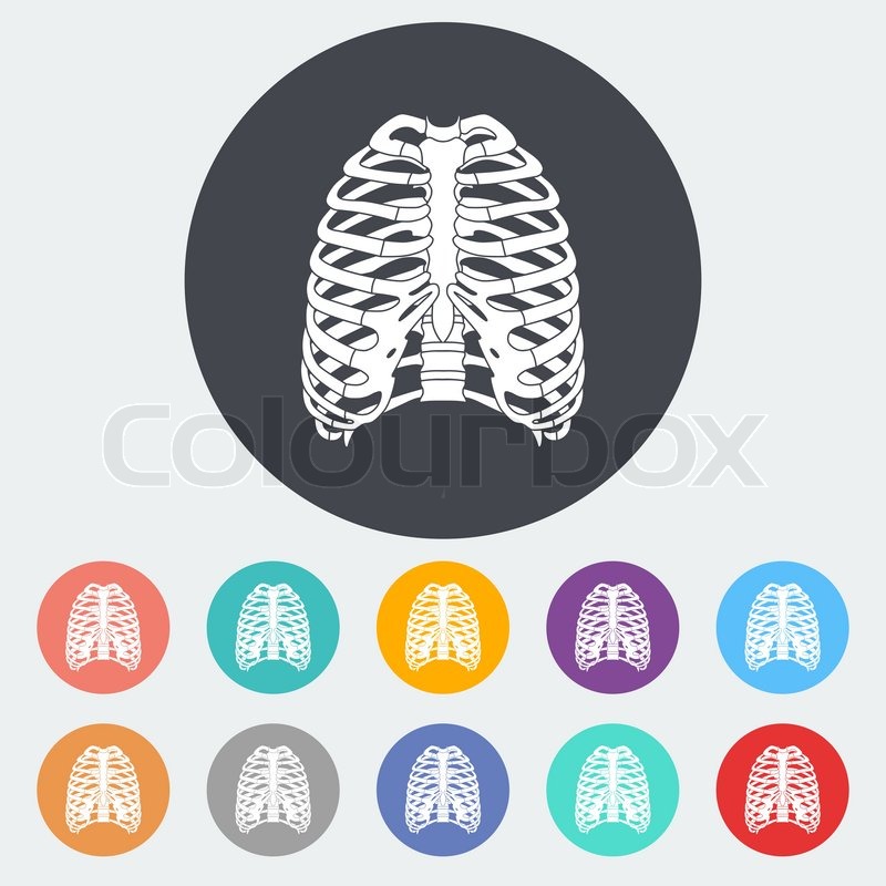 Human thorax. Single flat icon on the ... | Stock vector | Colourbox