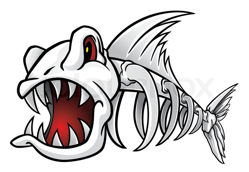 Angler Fish Skeleton Drawing