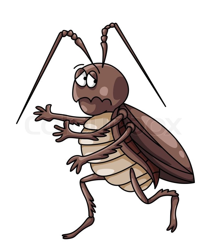Cockroaches Cartoon Illustration | Stock Vector | Colourbox