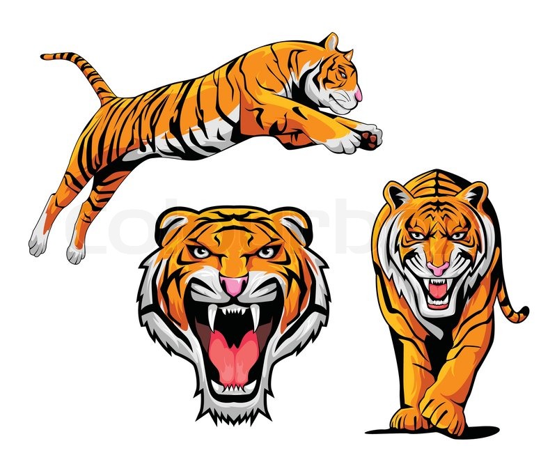 Tiger Illustration Set | Stock vector | Colourbox