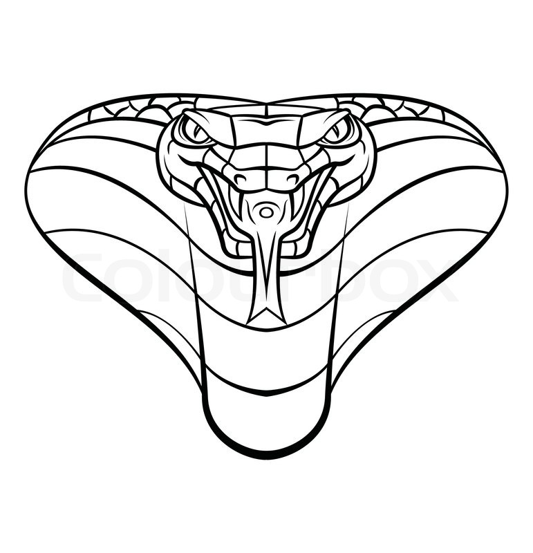 Cobra | Stock vector | Colourbox