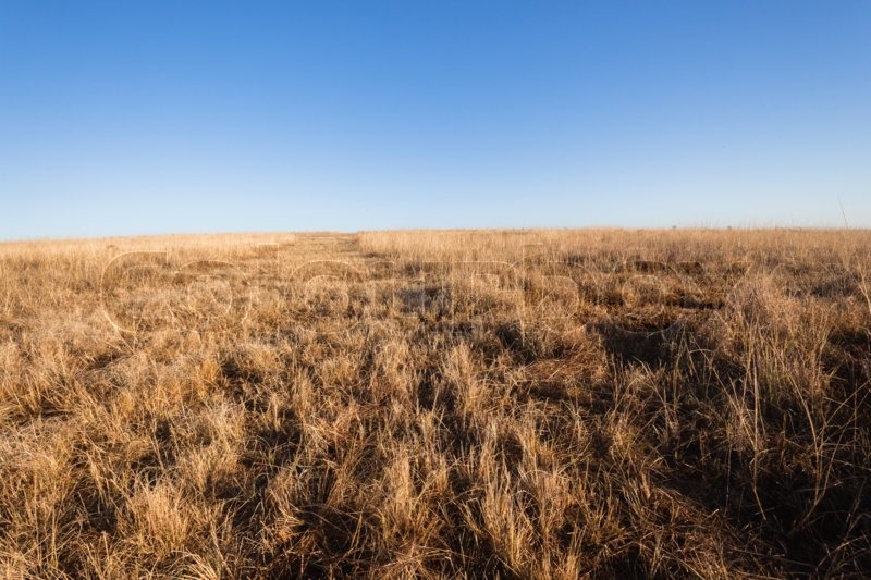 Wilderness reserves savannah grasslands ... | Stock image | Colourbox