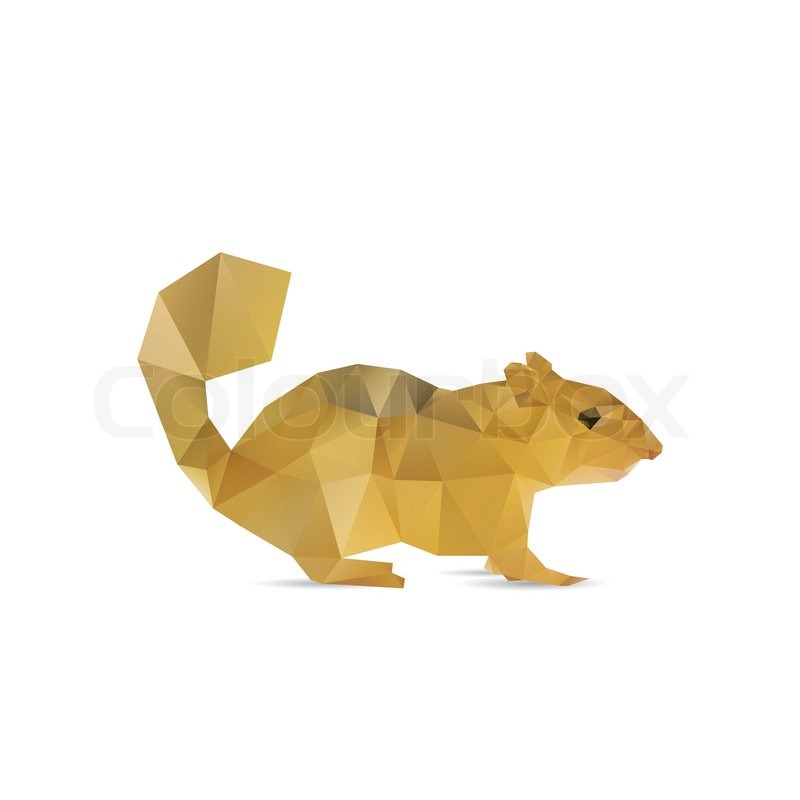 Abstract Squirrel