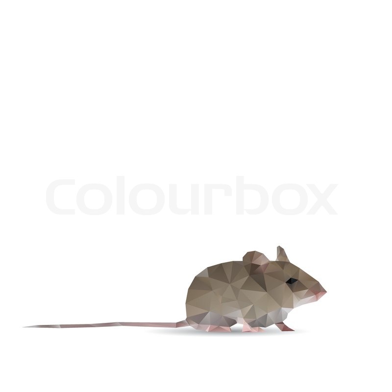 Abstract rat isolated on a white ... | Stock vector | Colourbox