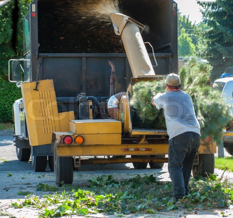 Wood Chipper Shredding a Tree into a ... | Stock image | Colourbox