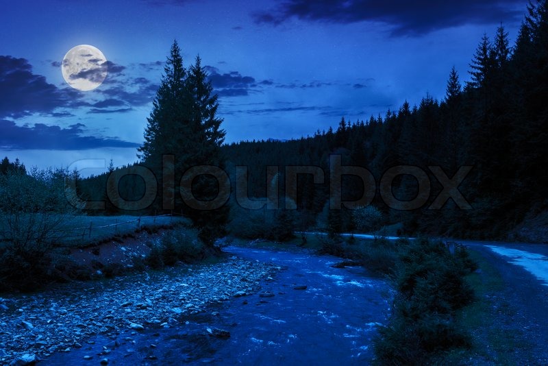 Beautiful Forest With River At Night
