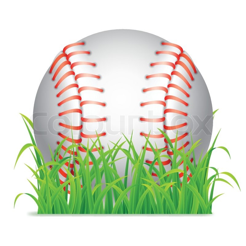 Baseball ball on green grass. | Stock Vector | Colourbox