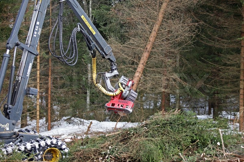 Sweden Logging
