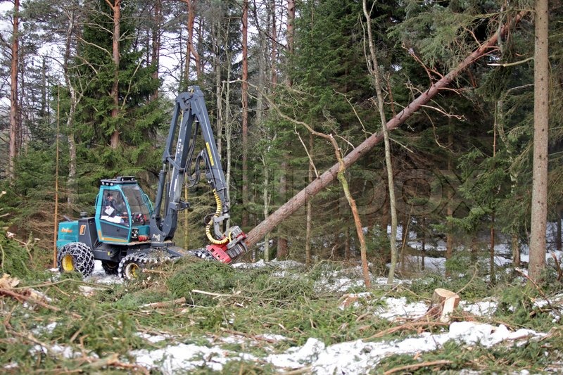 Logging in sweden | Stock image | Colourbox