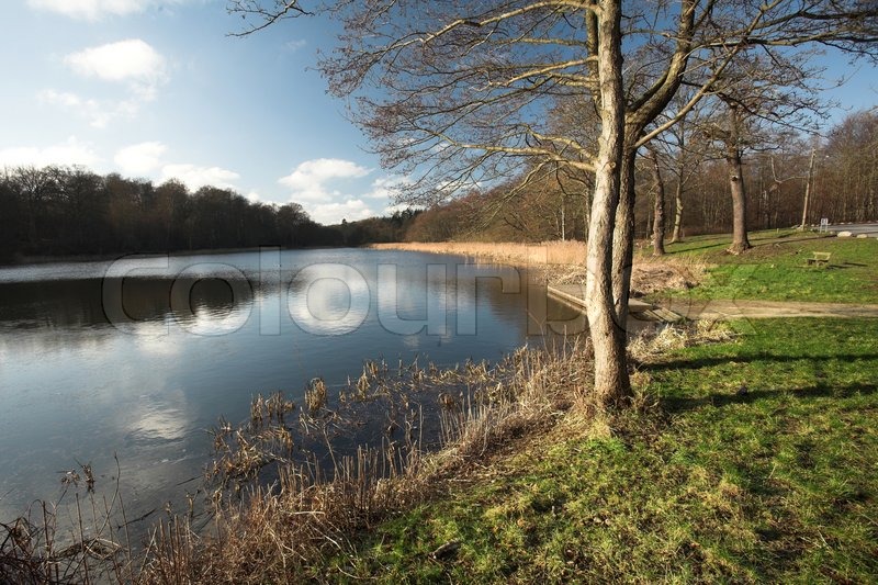 A lake in denmark nearby a forest, ... | Stock image | Colourbox