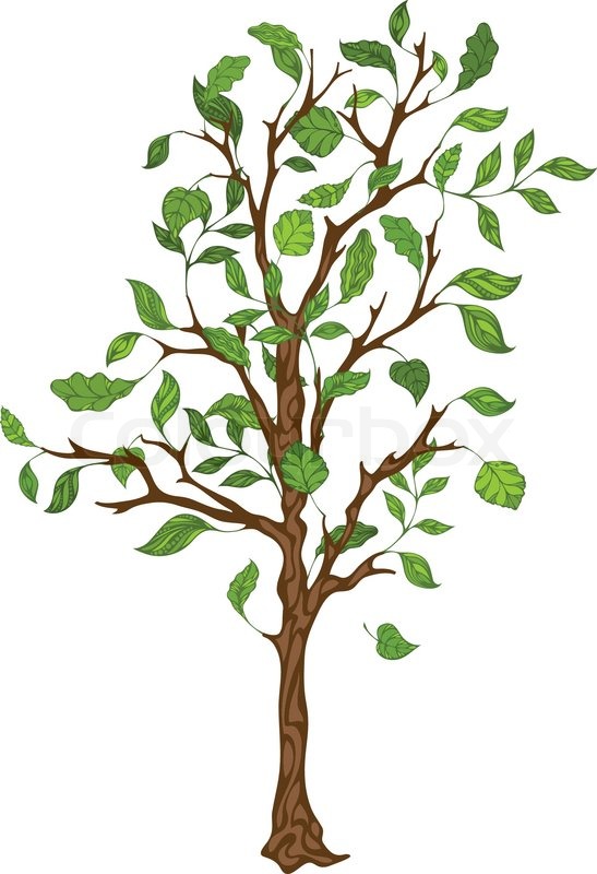 Single Tree Branch Vector