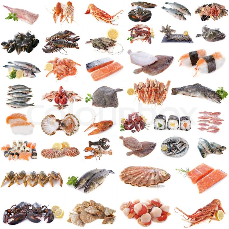 Seafood, fish and shellfish in front of ... | Stock image | Colourbox
