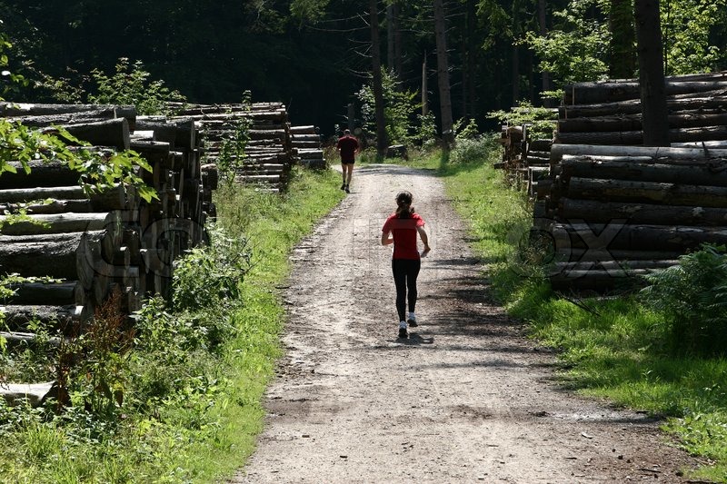 Laufen auf einem Pfad im Wald von ... | Stock Bild | Colourbox