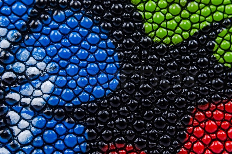 Rays fish skin texture | Stock image | Colourbox