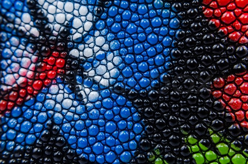 Rays fish skin texture | Stock image | Colourbox