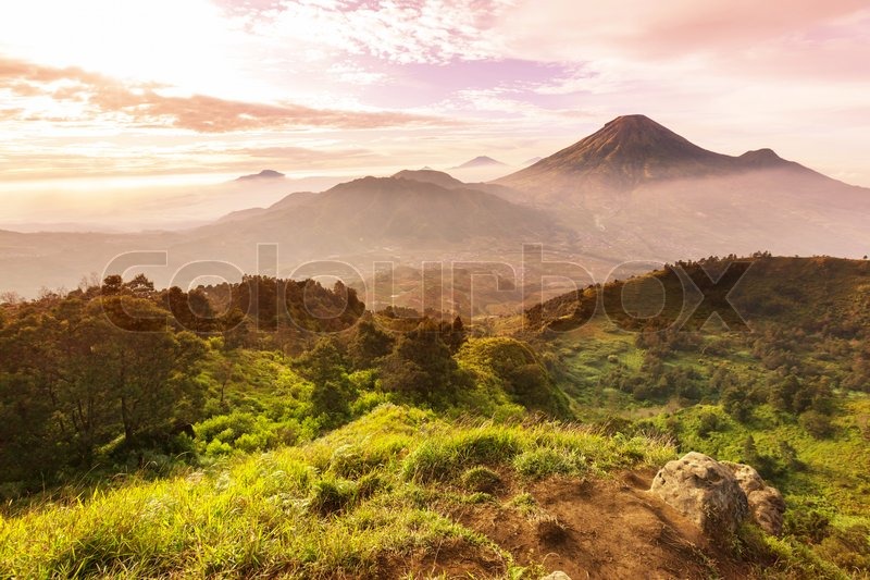 Java landscapes | Stock image | Colourbox