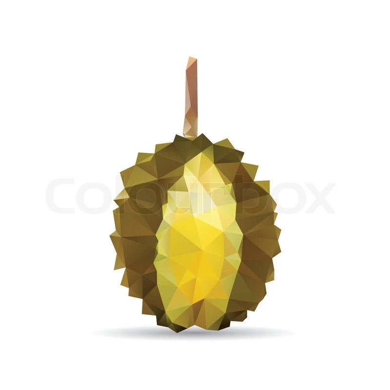 Durian abstract isolated on a white ... | Stock vector | Colourbox