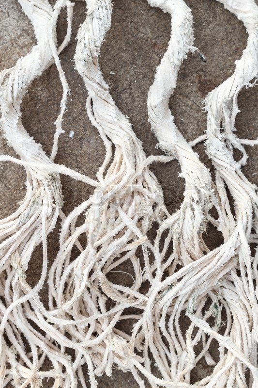 White Rope Texture