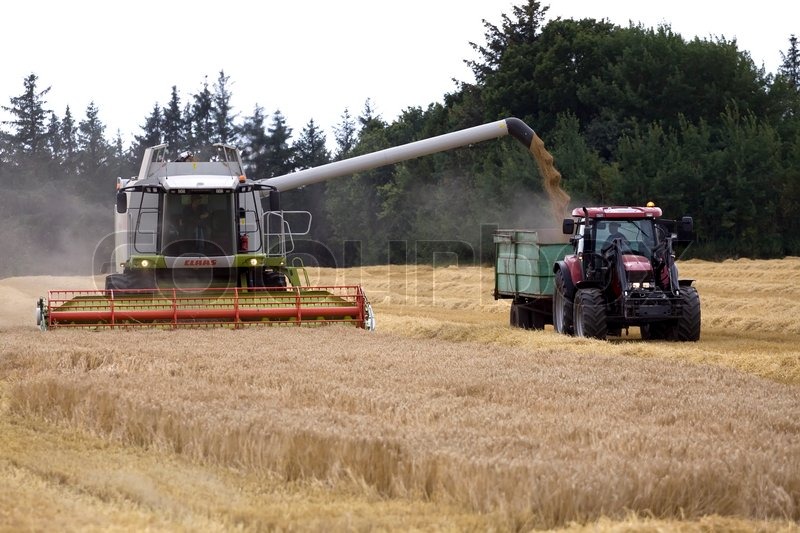 Ernte | Stock Bild | Colourbox