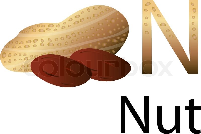 Illustrator n font with nut | Stock vector | Colourbox