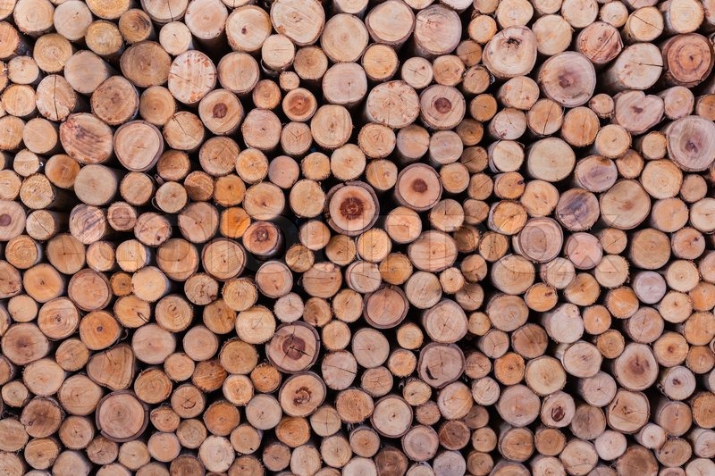 Wood log texture background | Stock image | Colourbox