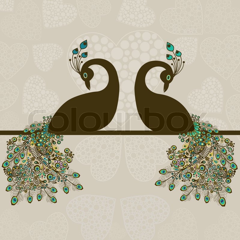 Card with abstract beautiful peacocks ... | Stock vector | Colourbox
