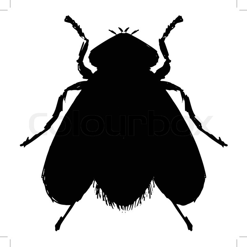 Black silhouette of ordinary fly | Stock vector | Colourbox