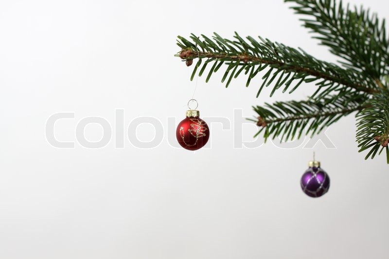 Julegran, julepynt | Stock foto | Colourbox