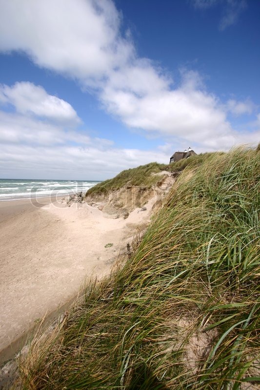Summer in denmark: beach of loekken, | Stock image | Colourbox