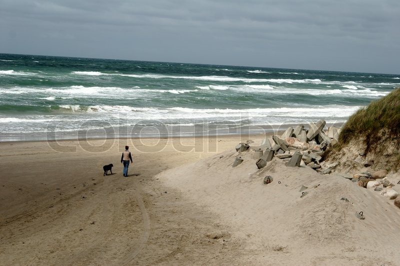 Summer in denmark:beach of loekken, ... | Stock image | Colourbox