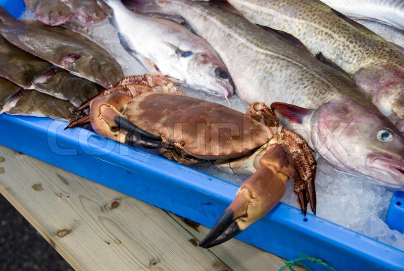 Living crab on the dutch fishmarket in ... | Stock image | Colourbox