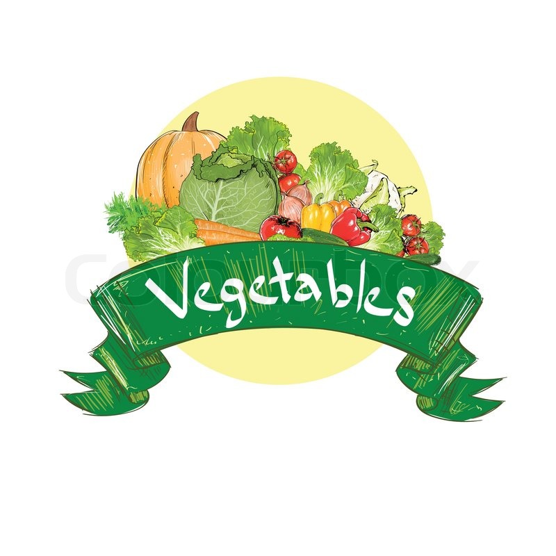 Vegetables drawing set group with text banner vector illustration ...