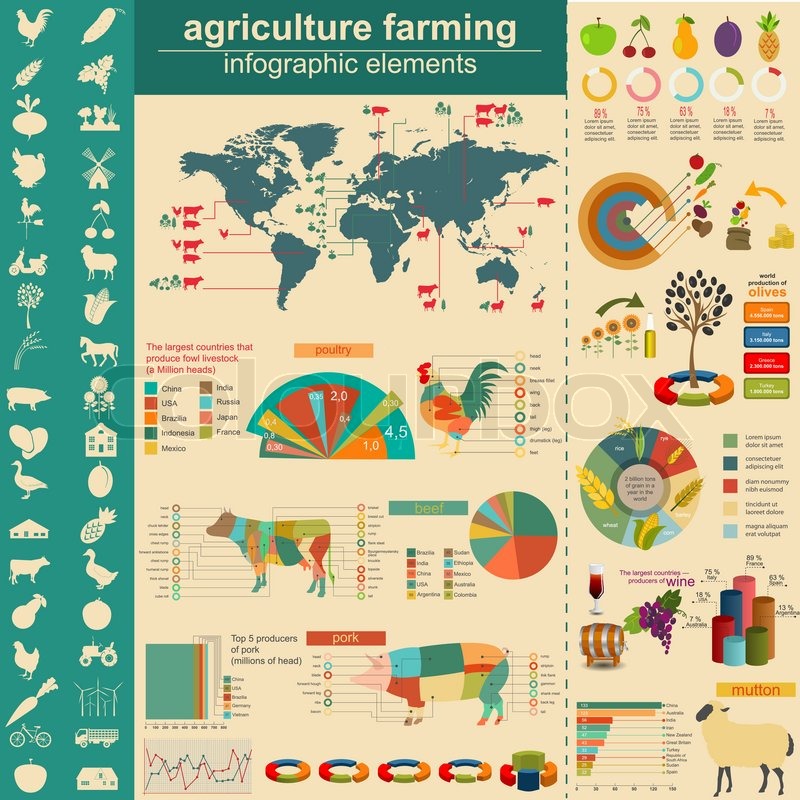 Agriculture infographics. Vector ... | Stock Vector | Colourbox